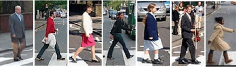 Pedestrian Crossing Road Dataset Download Scientific Diagram