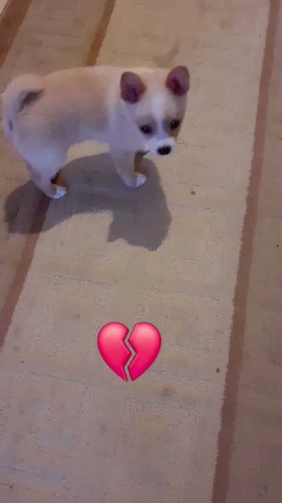 малък💔 голям ️‍🩹 Youtube