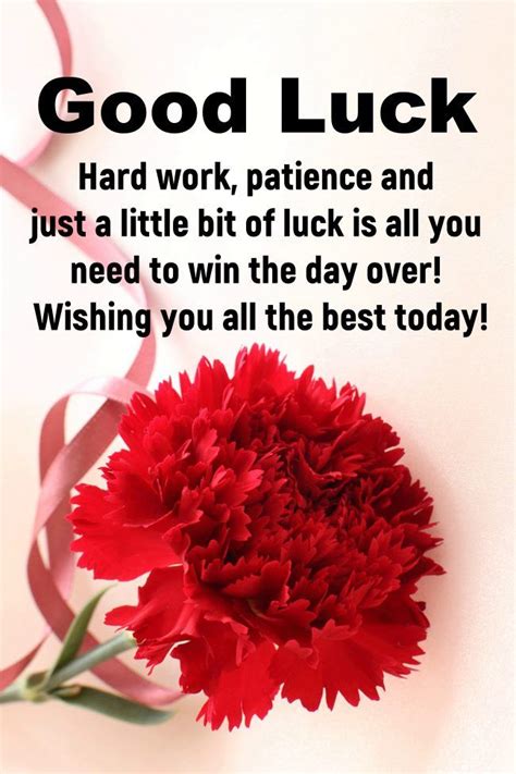 Best Wishes And Good Luck Quotes Belated Birthday Wishes