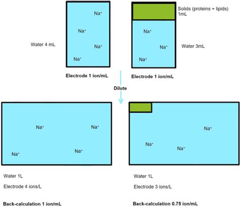 Laboratory Anomalies In The Basic Metabolic Panel Core Curriculum 2025 American Journal Of