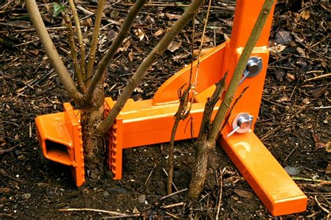 Invasive Species Reforest London