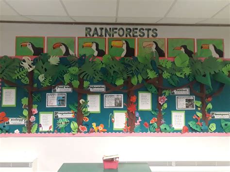 Rainforest School Display Layers If The Rainforest Toucans Art And