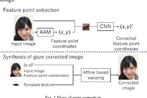 Figure 1 From Automatic Gaze Correction Based On Deep Learning And Image Warping Semantic Scholar
