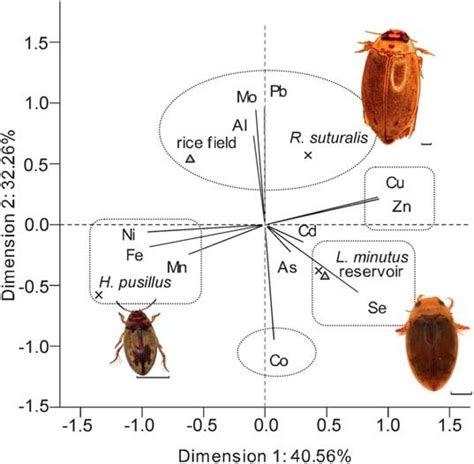 Clustering Of Trace Elements Species And Habitat Type In Their