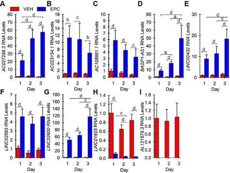 Figure 1 From The Long Non Coding Rna Gene Ac0272883 Plays A Role In