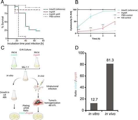 Yannick Noah Frommeyer On Linkedin Trna Epitranscriptome Determines Pathogenicity Of The