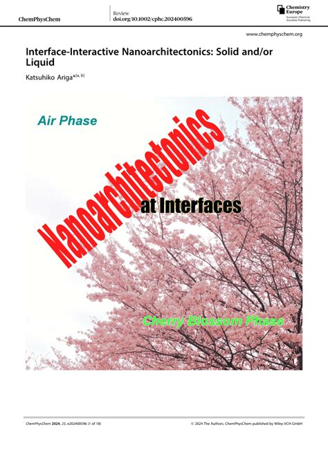 Pdf Interface‐interactive Nanoarchitectonics Solid Andor Liquid