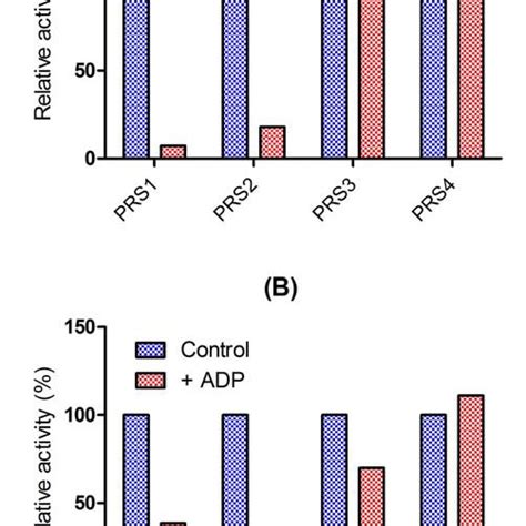 Comparison Of The Activity Of Prpp Synthetase And Enzymesinvolved In