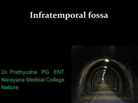 Infratemporal Fossa Nervous Structures Ppt