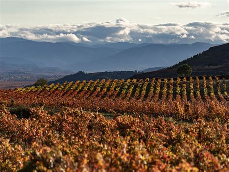 The Wines Of Rioja Offer Power Depth And Value Calgary Herald