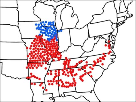 Billions Of Cicadas Will Emerge In The Us This Year In A Rare Double