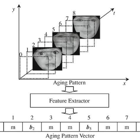 Pdf Age Estimation Via Face Images A Survey