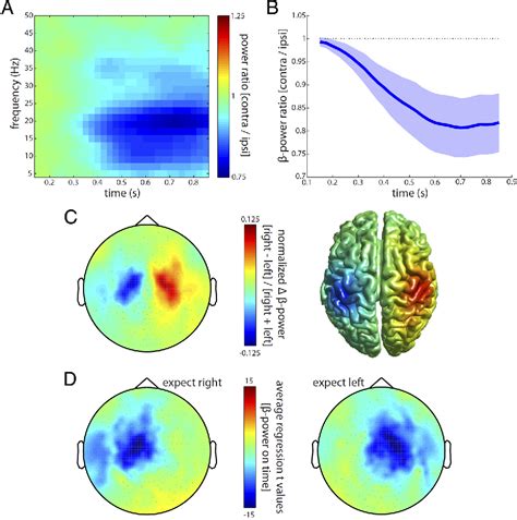 Figure 2 From Orienting Attention To An Upcoming Tactile Event Involves A Spatially And
