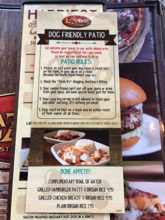 Does Lazy Dog Have A Dog Menu