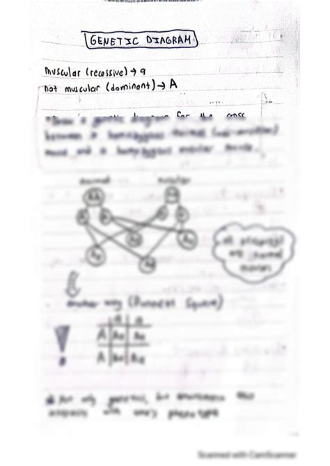 Solution Gcse Biology Reproduction And Inheritance Part 2 Menstural
