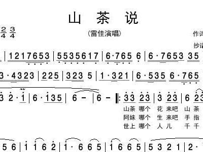 山茶说 雷佳 歌谱 简谱