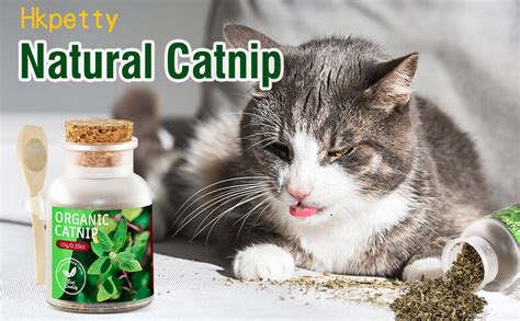 Natural Catnip For Cats10g Cat Premium Organic Catnipsafe And Non