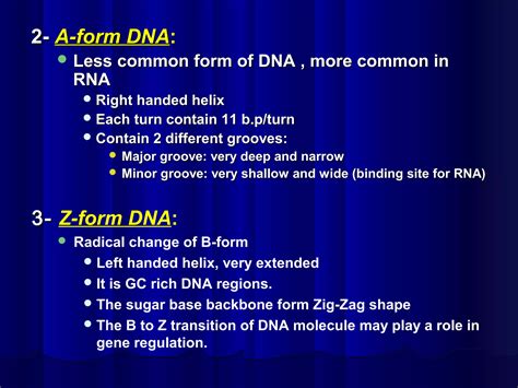 Structure And Function Of Dna PPT