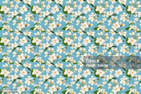꽃 배경입니다 파란색 배경에 섬세한 재스민 꽃 반복되는 패턴 웨딩 카드 초대장 벽지 패브릭 디자인 포장지 실내 장식에 적합합니다 0명에 대한 스톡 사진 및 기타 이미지