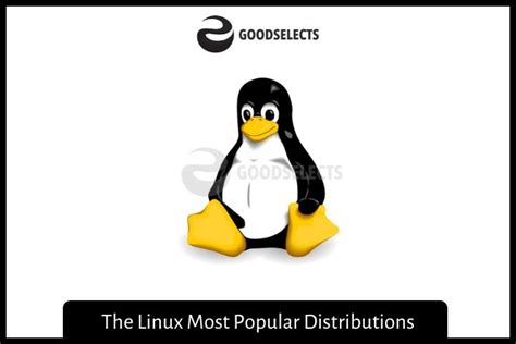 The Linux Most Popular Distributions Good Selects