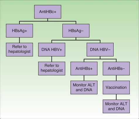Risk Of Reactivation Of Hepatitis B Virus Infection In Psoriasis