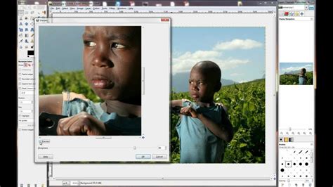 Basic Color Correction With Gimp Artofit