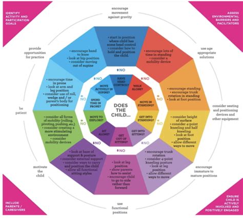 Pt And Ds Flashcards Quizlet