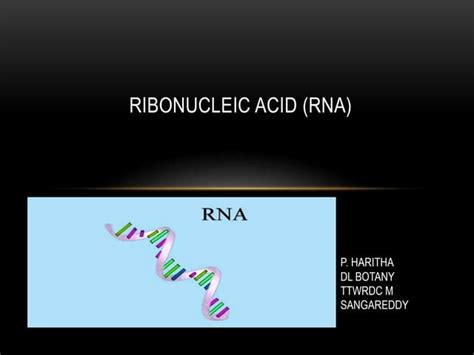 Polycistronic And Monocistronic Rna Pptx