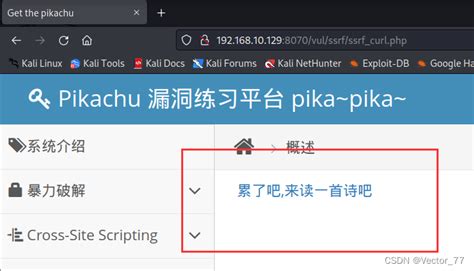 【web安全】ssrf复习ssrf靶场 Csdn博客