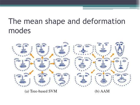 Ppt Face Detection Pose Estimation And Landmark Localization In The Wild Powerpoint