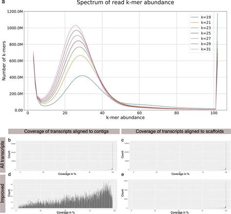 K Mer Frequency Analysis And Transcript Coverage By Genomic