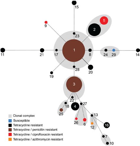 Minimum Spanning Tree Based On The Multilocus Sequence Typing Allelic