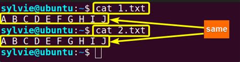 The Cmp Command In Linux 7 Practical Examples