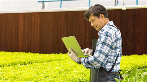 Agriculture Industry Demand Rising Sharply For Ai Automation And Advanced Data Analytics