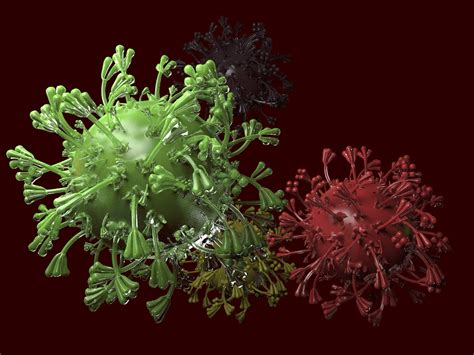 Virus Animation 3d Model Turbosquid 1518614