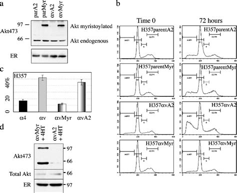 Figure 6 From Switch From αvβ5 To αvβ6 Integrin Expression Protects