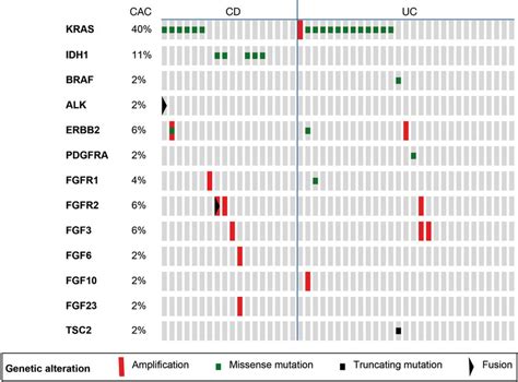 Oncoprint Showing Alterations In Genes That Are Potentially Actionable