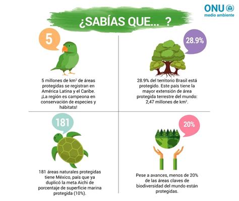 Datos Curiosos Sobre El Medio Ambiente Datos Para El D A Mundial 48640
