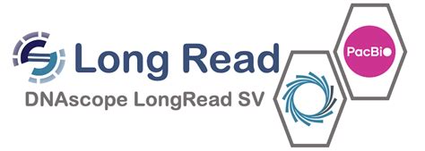 Dnascope Longreads Sv A Structural Variation Detection Tool Designed