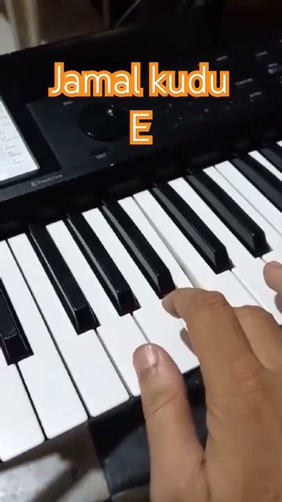 Jamal Kudu Keyboard Part Song Music Guitar Jamalkudu Jamalkudusong Youtube