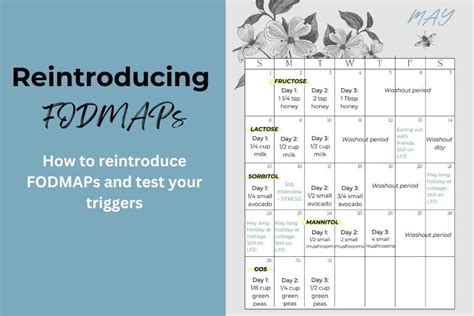 The Fodmap Gentle Diet A Simplified Version Of The Low Fodmap Diet