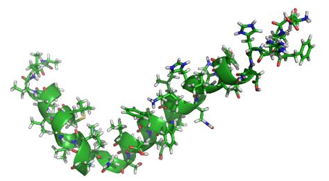 Beta Amyloid Peptides Best Biochem Custom Peptide Protein Antibody Rna Oligos Inhibitor