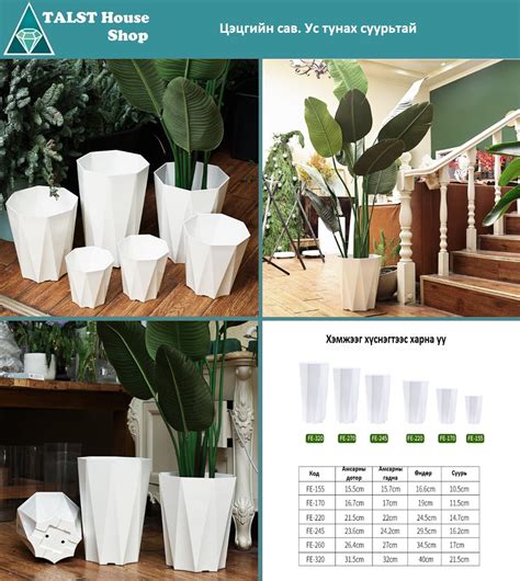 Talst Цэцгийн сав Өнгө Цагаан Код хэмжээг зураг дээрээс харна уу Үрсэлгээний жижиг сав