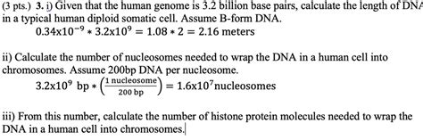 solved given that the human genome is 3 2 billion base pairs