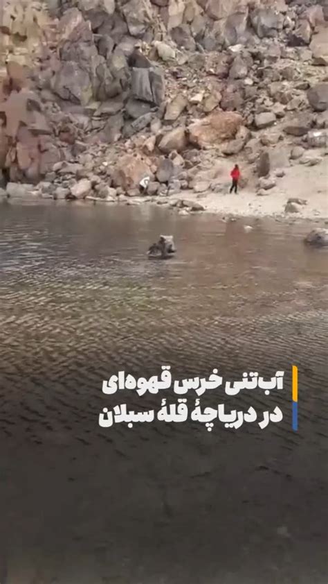 ‎خبرگزاری فارس‎ ‎‌ اعترافات رسانه‌های اسرائیلی از تلفات حملات دیشب