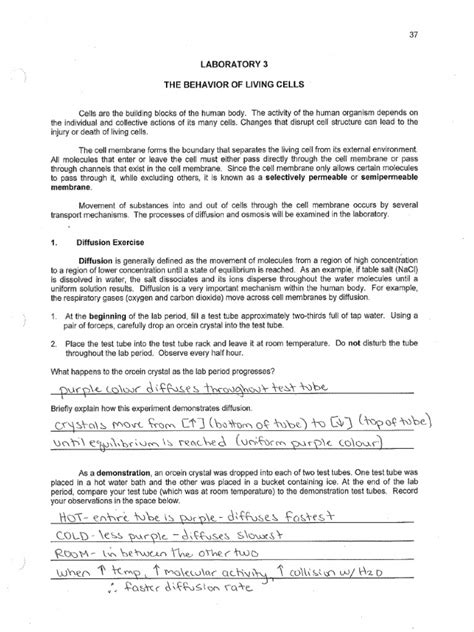 Lab 3 Answer Key Updated Pdf