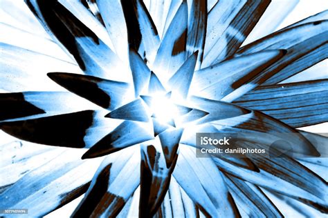 종이에 수채화 불꽃놀이입니다 Whatman 종이에 추상 화려한 이미지입니다 별 모양 브러쉬 그린의 상상의 꽃입니다 예술적 배경입니다 색상 흰색 캔버스에 그림입니다 생생한