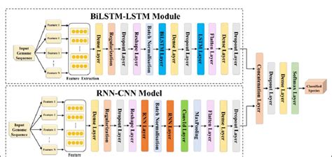 The Architecture Of The Ensemble Model Bilstm Lstm ⊕ Rnn Cnn Edl5
