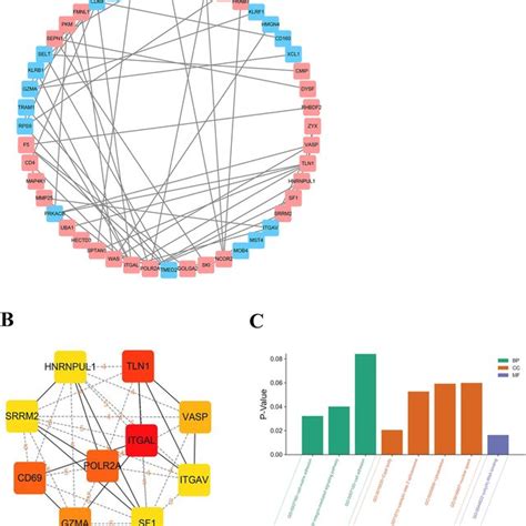 the tf target regulating network including 214 degs and 5 transcription