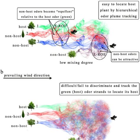Use Of Odor By Host Finding Insects The Role Of Real Time Odor Environment And Odor Mixing